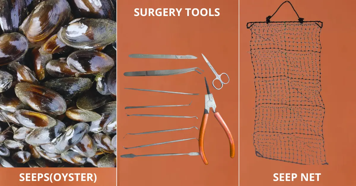 Premium Pearl Farming Equipment & Supplies | Pearl Pioneers